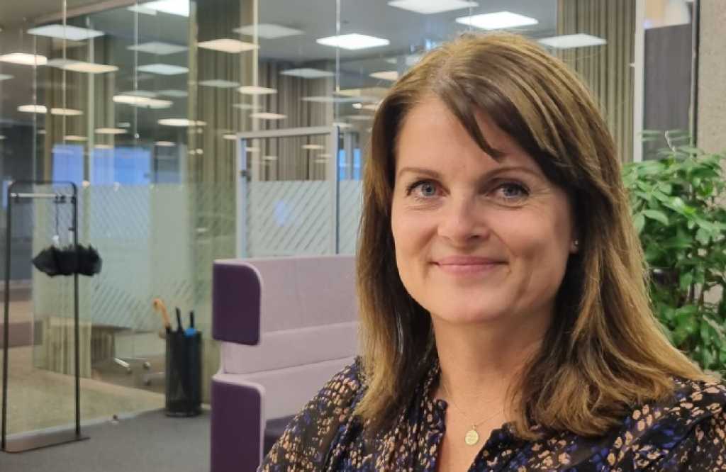 Jobb gammel - Millum